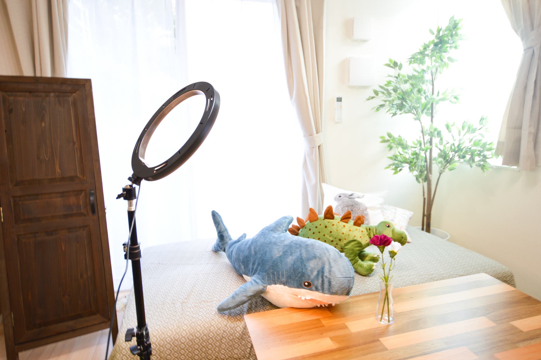 新築｜カップル割👩‍❤️‍💋‍👩 学割🎓 ｜24時間OPEN ❗️｜ママ会🤱 ｜タコパ🐙｜会議🖌｜の写真9