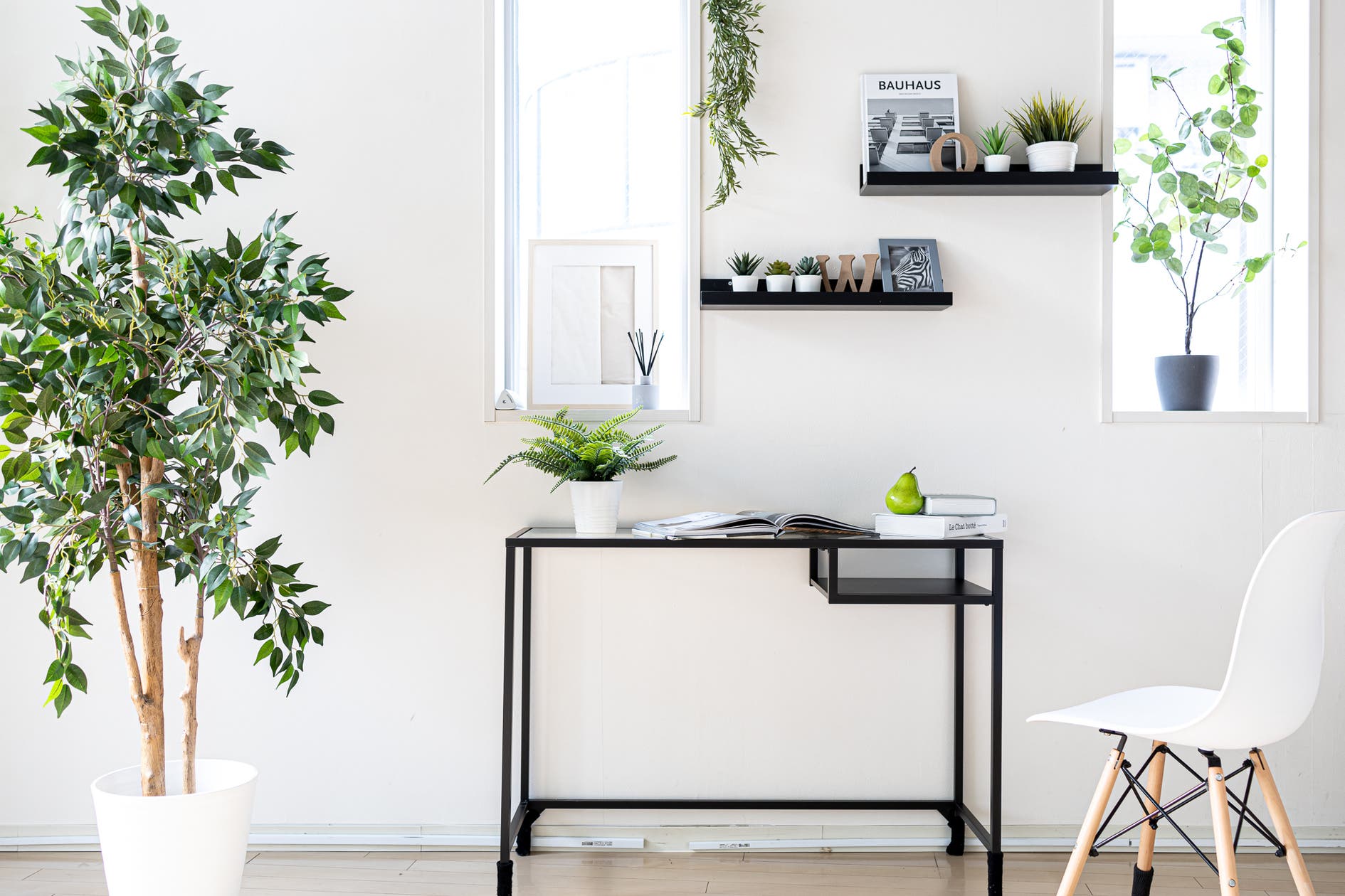 Ｈ１．豊富なグリーンとナチュラルな自然光がおすすめ　原宿・表参道のハウススタジオの写真11