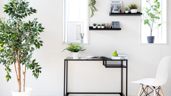 H1.豊富なグリーンとナチュラルな自然光がおすすめ 原宿・表参道のハウススタジオの写真10