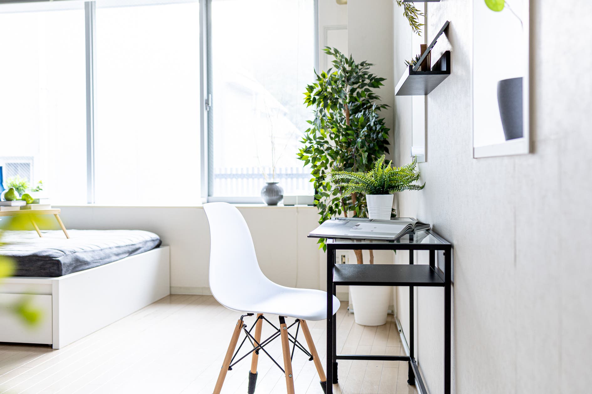 Ｈ１．豊富なグリーンとナチュラルな自然光がおすすめ　原宿・表参道のハウススタジオの写真12