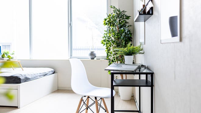 H1.豊富なグリーンとナチュラルな自然光がおすすめ 原宿・表参道のハウススタジオの写真11