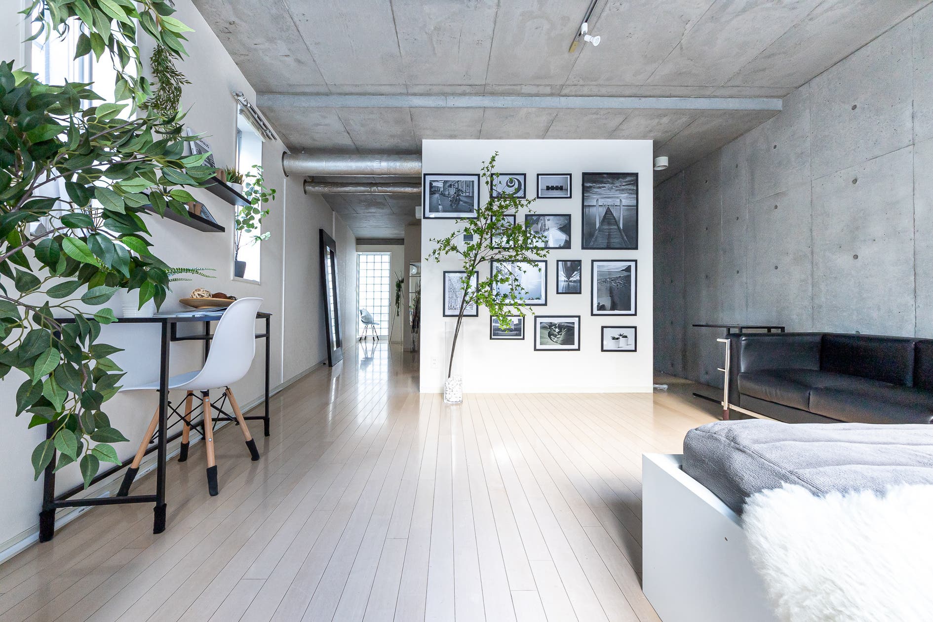 Ｈ１．豊富なグリーンとナチュラルな自然光がおすすめ　原宿・表参道のハウススタジオの写真5