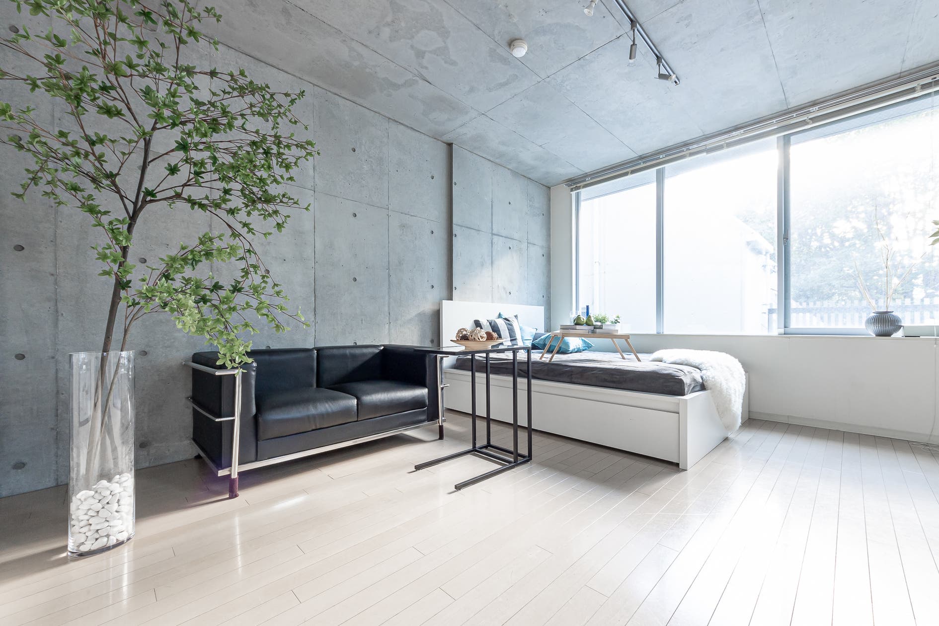 Ｈ１．豊富なグリーンとナチュラルな自然光がおすすめ　原宿・表参道のハウススタジオの写真1