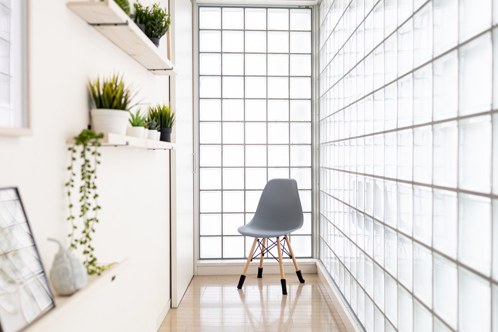 Ｈ１．豊富なグリーンとナチュラルな自然光がおすすめ　原宿・表参道のハウススタジオの写真7