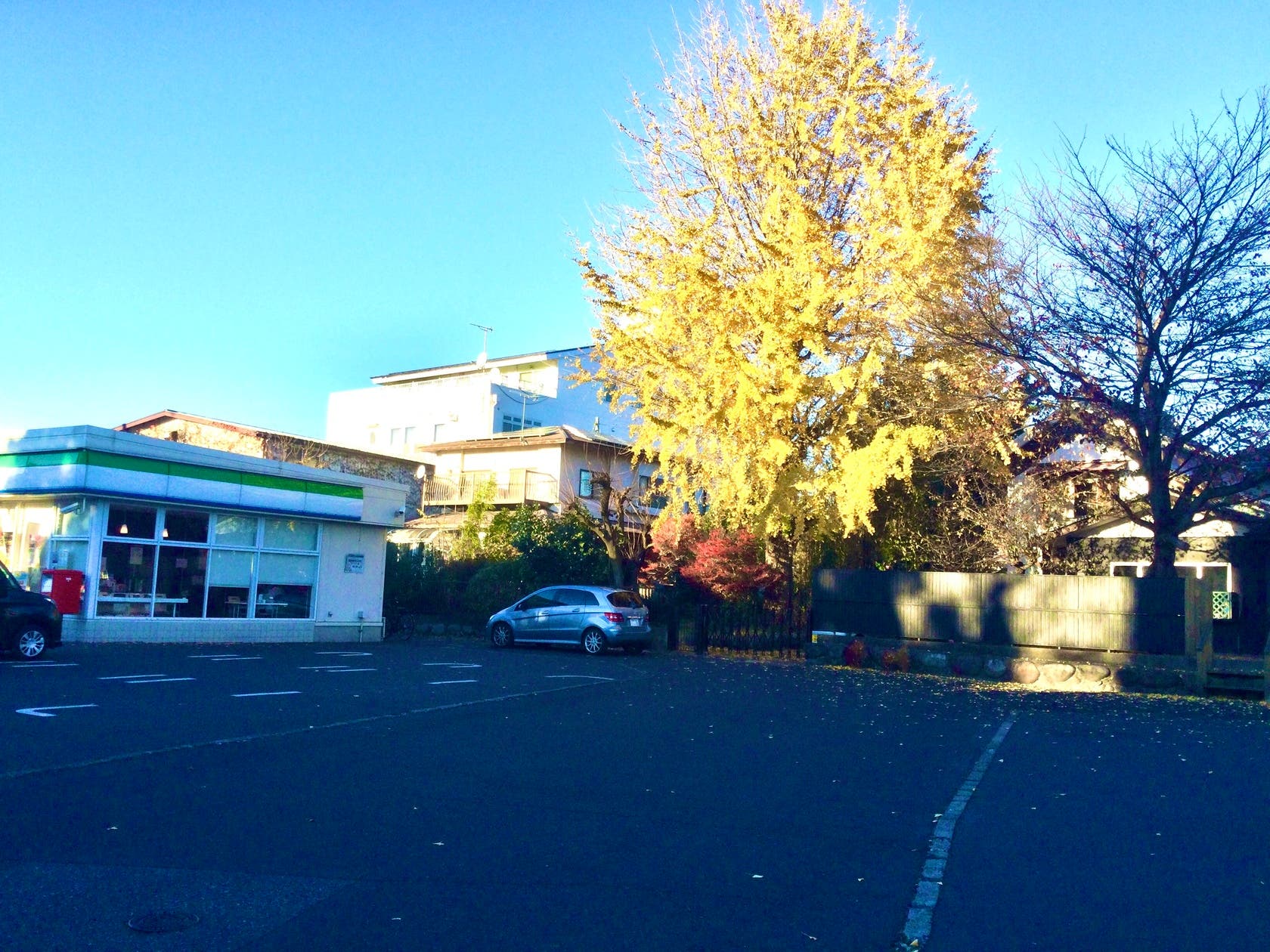 『古民家のカフェバー』桜の樹の庭付き。目の前コンビニ。飲み会、女子会、パーティなどの写真4