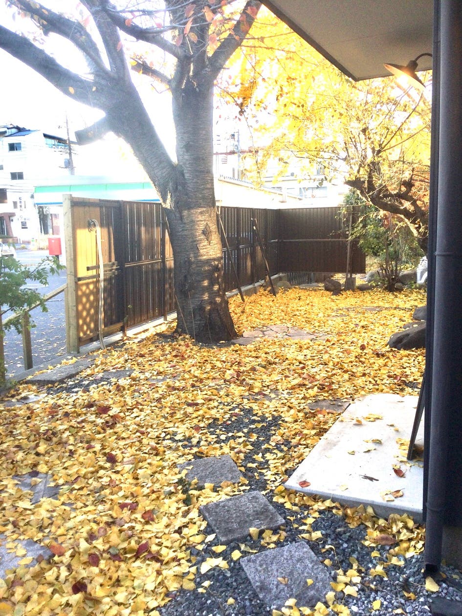 『古民家のカフェバー』桜の樹の庭付き。目の前コンビニ。飲み会、女子会、パーティなどの写真12