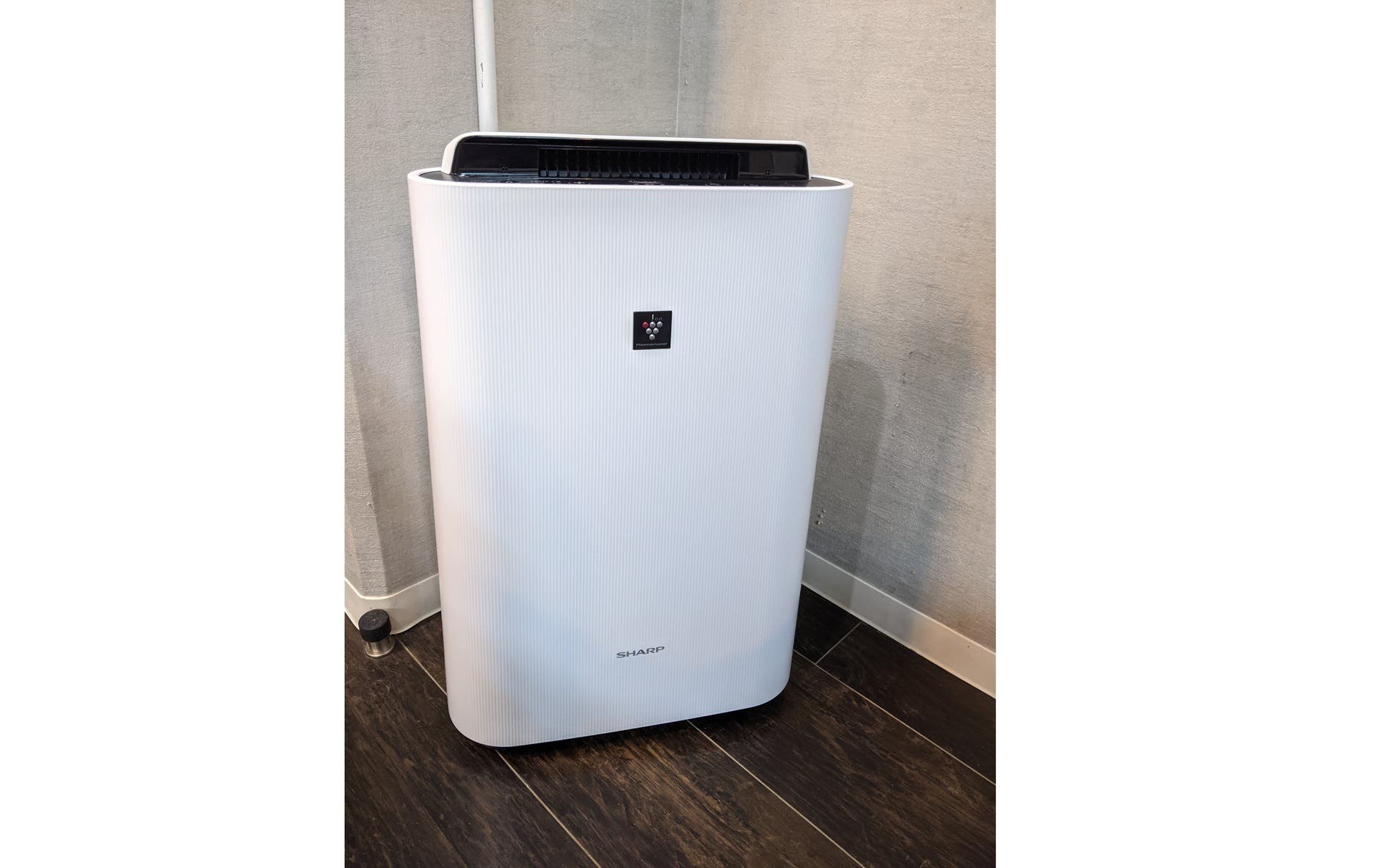 【NEW OPEN黒門市場スグ】人気の難波日本橋エリアでダンスやヨガができるスタジオの写真9