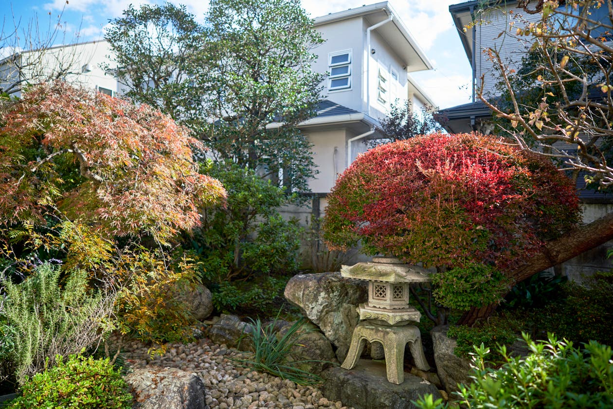 【小鳥庭コトリバ松大東京】明大前のキッチン・和室・庭付きレトロな一軒家。１フロア140㎡で部屋数多く一度に様々なシーンが撮影可能の写真21