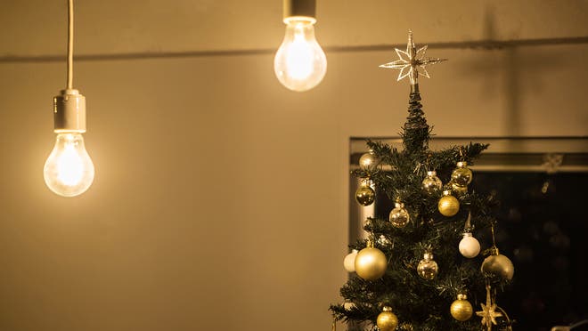 【駅徒歩5分、撮影・収録に】窓からの木漏れ日、大きな本棚が好評。フローリング、大きな窓は開放感があり、風通し抜群。の写真23