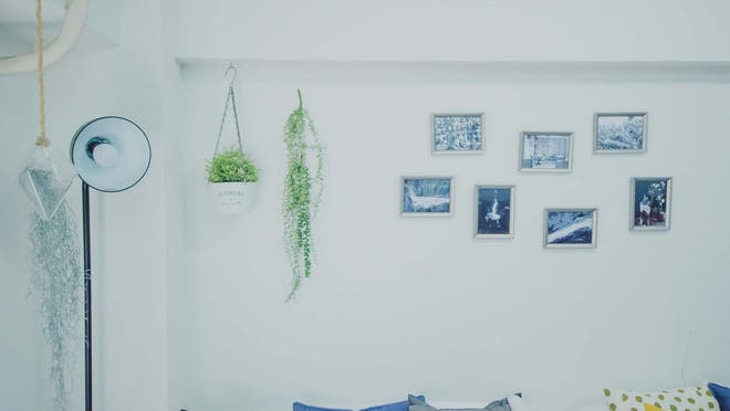 ゴミ捨てOK😄ごろごろスペース♪50㌅📺上映会|おうちデート|女子会|歓迎会・送迎会_400の写真8