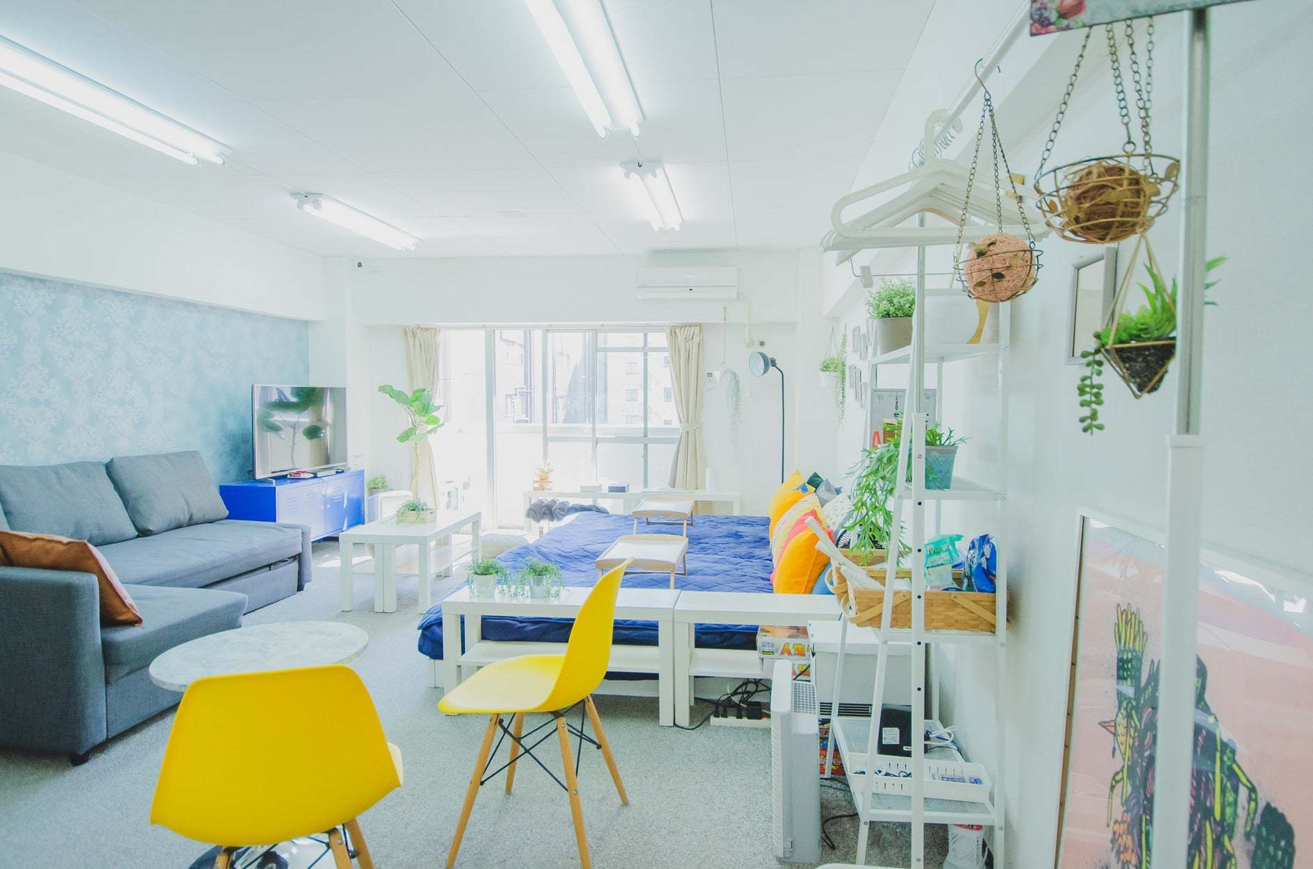 ゴミ捨てOK😄ごろごろスペース♪50㌅📺上映会｜おうちデート｜女子会|歓迎会・送迎会_400の写真14