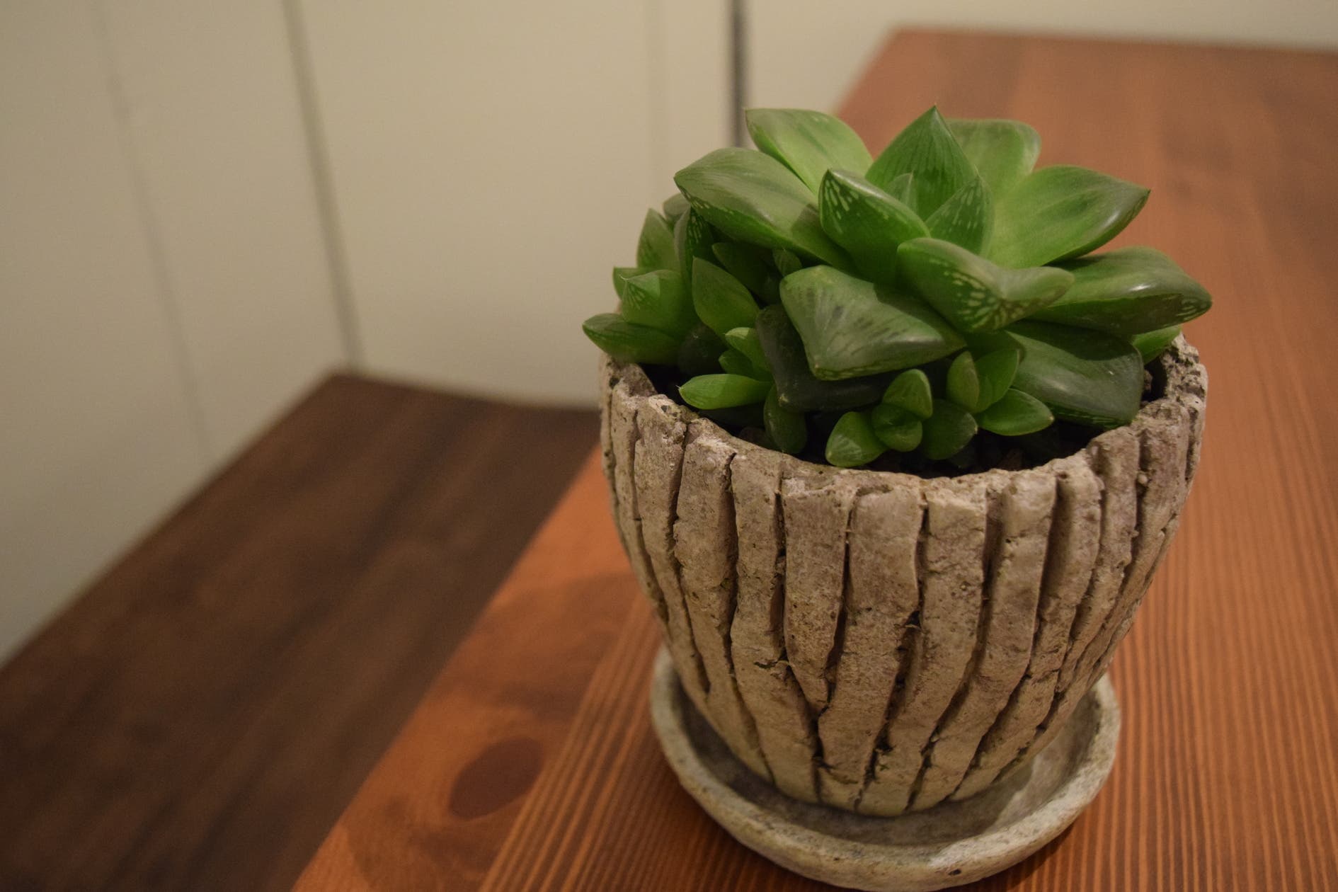 【本町駅徒歩3分！】1階・中2階を丸ごと貸出。展示会、ギャラリー、POP UP、セミナーなどの写真17