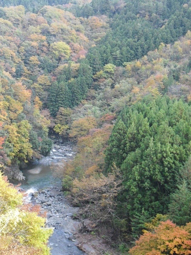 かつての学校がスペース！どこか懐かしい空間と施設周りの大自然！の写真22