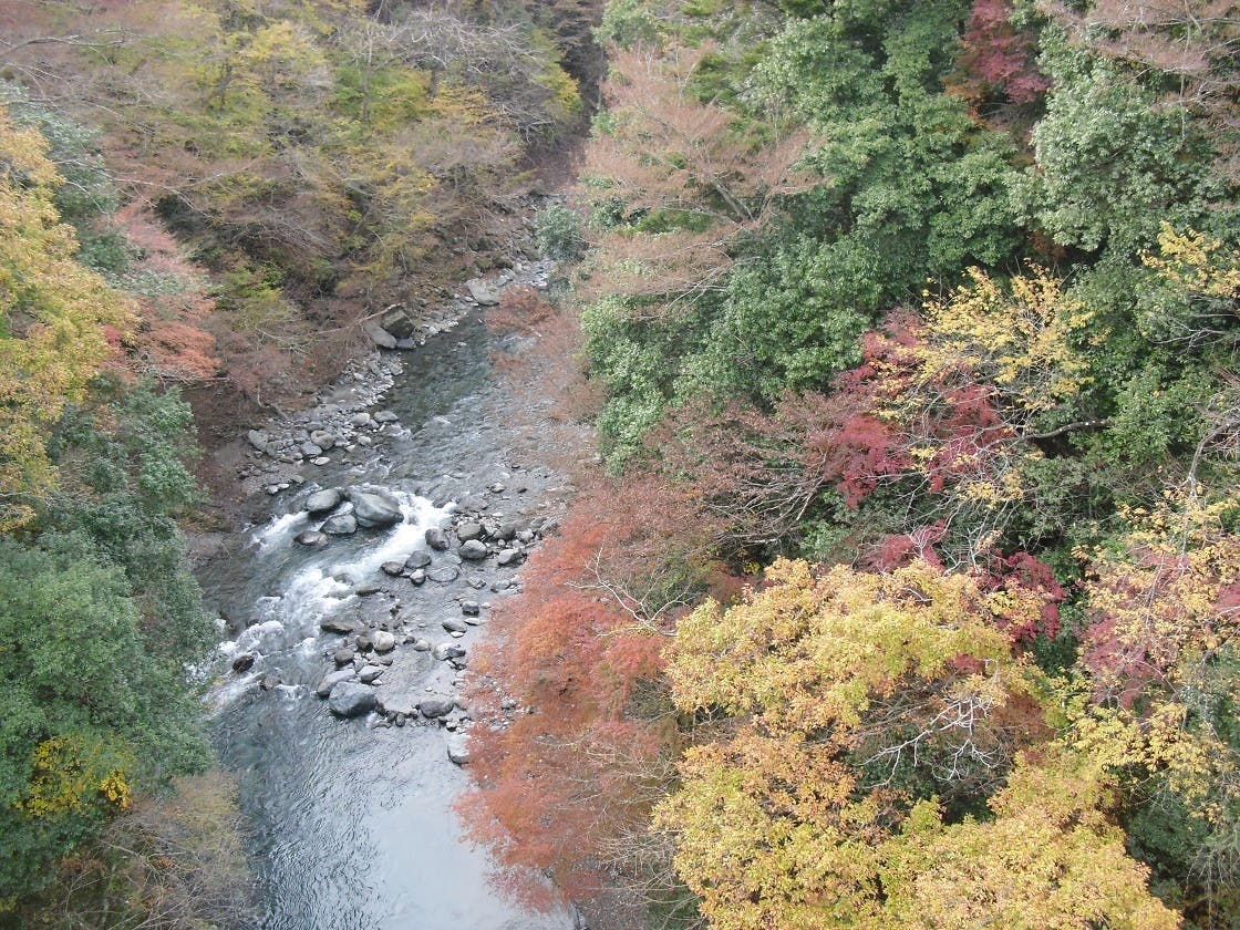 かつての学校がスペース！どこか懐かしい空間と施設周りの大自然！の写真24