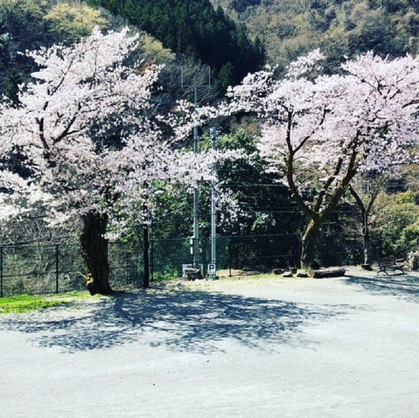 かつての学校がスペース！どこか懐かしい空間と施設周りの大自然！の写真26