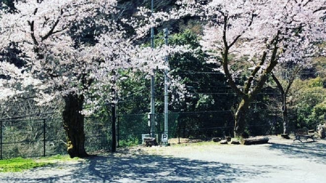 かつての学校がスペース!どこか懐かしい空間と施設周りの大自然!の写真26