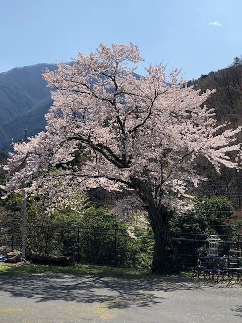 かつての学校がスペース！どこか懐かしい空間と施設周りの大自然！の写真27