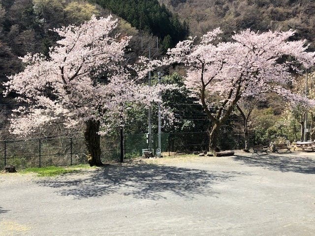 かつての学校がスペース！どこか懐かしい空間と施設周りの大自然！の写真28