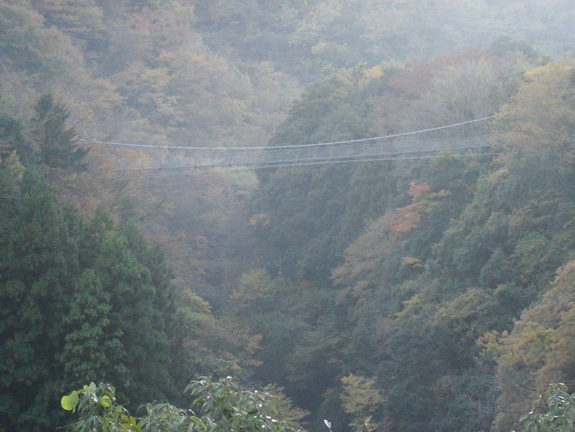 かつての学校がスペース！どこか懐かしい空間と施設周りの大自然！の写真29
