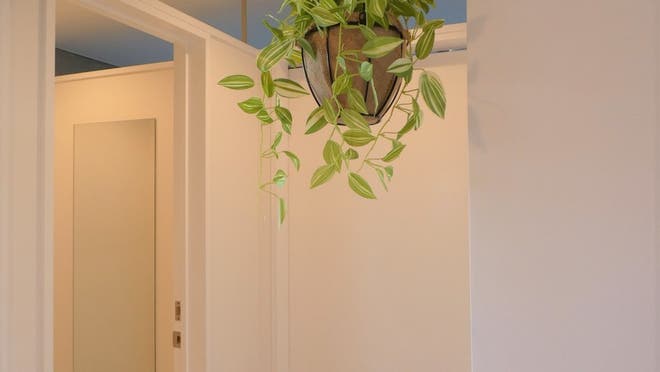 東武アーバンパークライン・大和田駅徒歩2分!Wi-Fi完備★スマートロック★の写真5