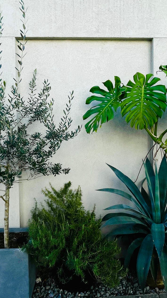 「85studio」渋谷区、幡ヶ谷駅から徒歩12分のコンクリート打ち放しの撮影スタジオの写真21