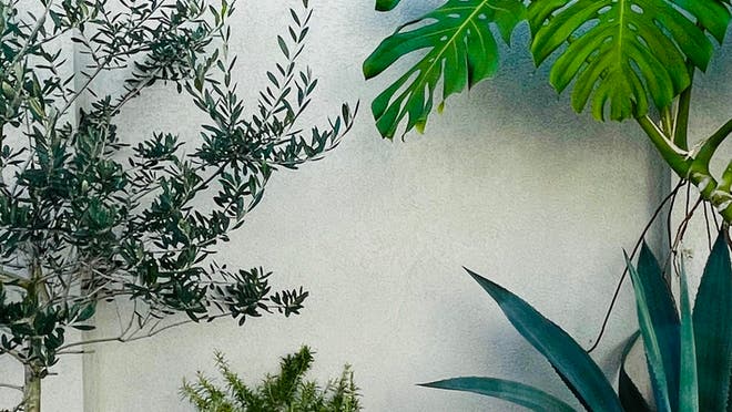 「85studio」渋谷区、幡ヶ谷駅から徒歩12分のコンクリート打ち放しの撮影スタジオの写真21