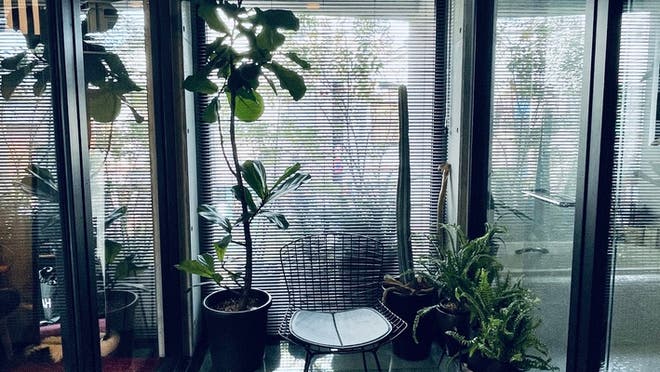 「85studio」渋谷区、幡ヶ谷駅から徒歩12分のコンクリート打ち放しの撮影スタジオの写真9