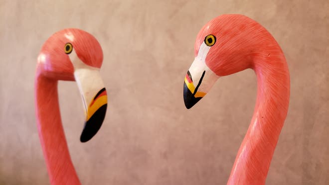 【備前交差点から車で5分】無料駐車場あり✨女子会/お家デート/誕生日会/タコパ/鍋パ/鑑賞会/セミナーの写真10