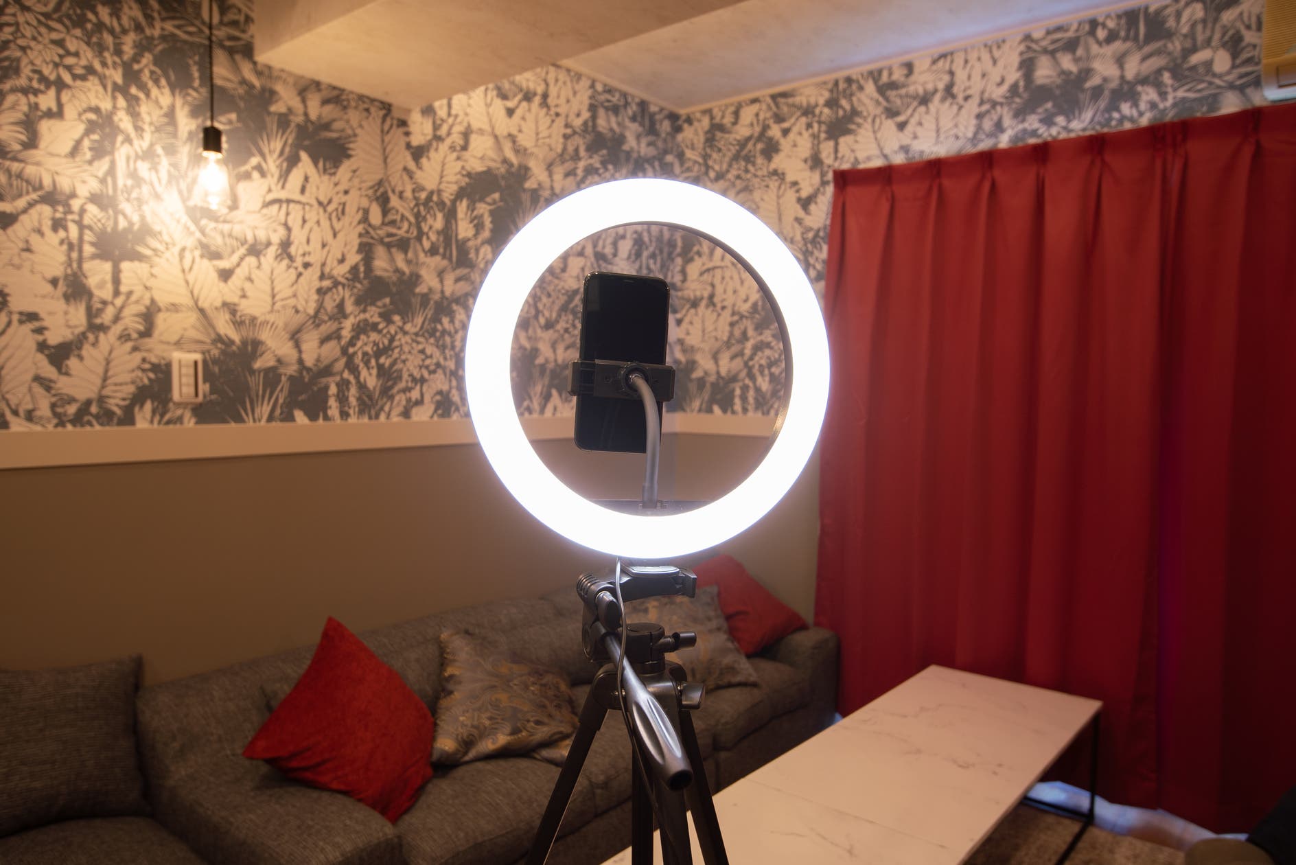 スペモ🏠クリスマス🎄なんば駅1分🚶映画鑑賞🪙ボドゲ🎲パーティー🎉デート🛋女子会🎀259_EVERY大阪難波の写真11