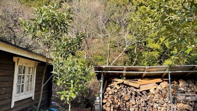 【周囲にきがねなし!】綺麗な小川と山々に抱かれる。癒やしあふれ、心身デトックスできるマルチスペース!の写真4