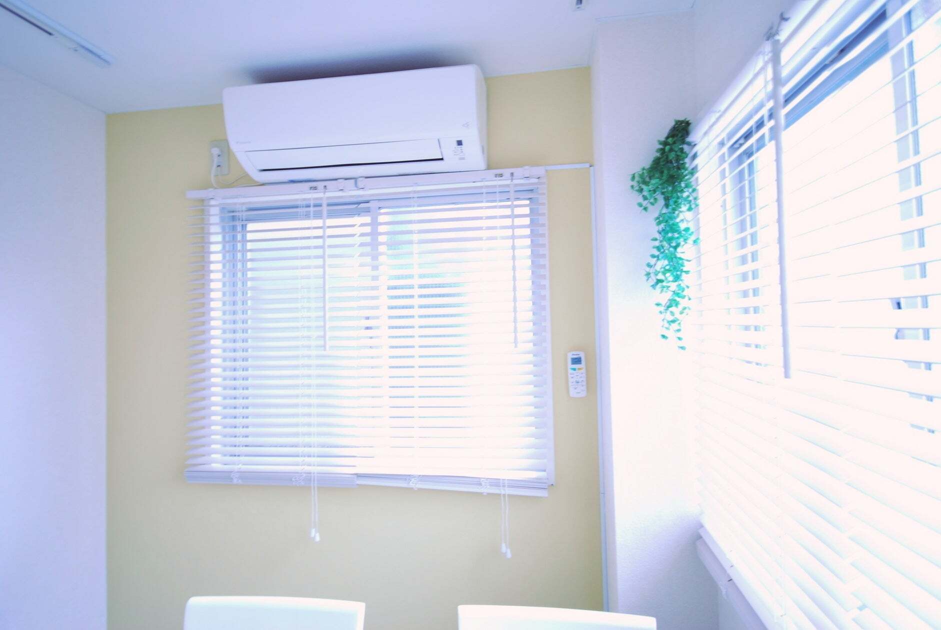 【恵比寿駅１分★RKFビル5階ルーム１】白と黄色が基調の明るいお部屋ですの写真3