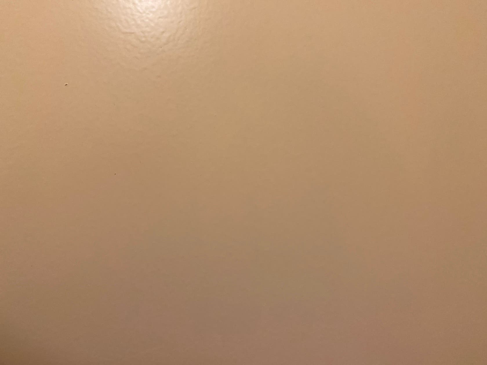 シャワーの画像1