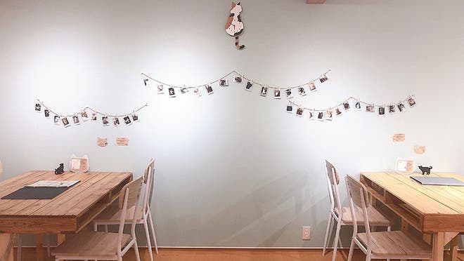 JR和歌山駅から徒歩3分!カフェバー空間を貸し切り!の写真1