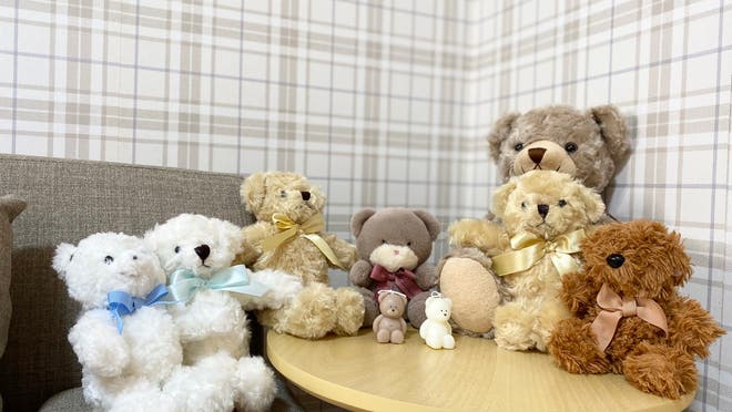 【テディー四条河原町🧸】クリスマスグッズ🎄烏丸駅河原町駅2分🚃女子会♡おうちデート♡鑑賞会♡誕生日会の写真16