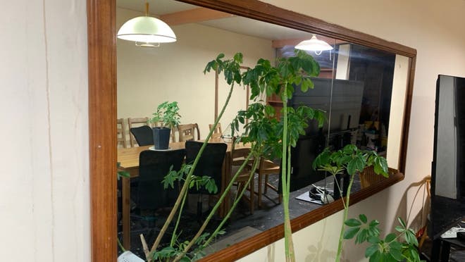 【JR和歌山駅3分】小規模会議やテレワークにも◎大型モニター(55型)使用無料&カフェ併設で快適な環境♪の写真12