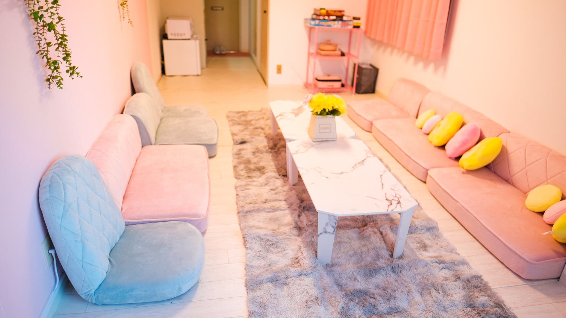 🌟パステル秋葉原🌟ボードゲーム🎮大人気TVゲーム📺光回線⚡#ボドゲ秋葉原３号店 24hの写真18