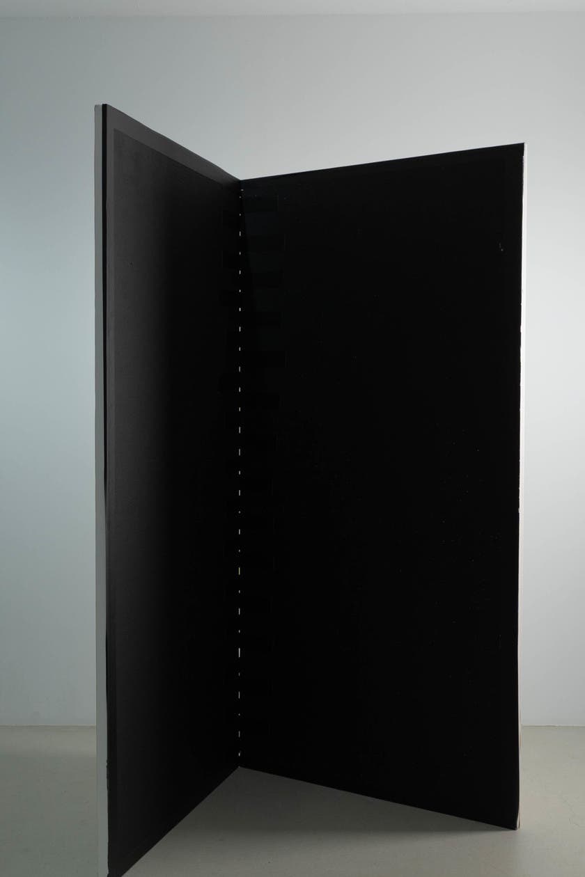 カポックの画像1