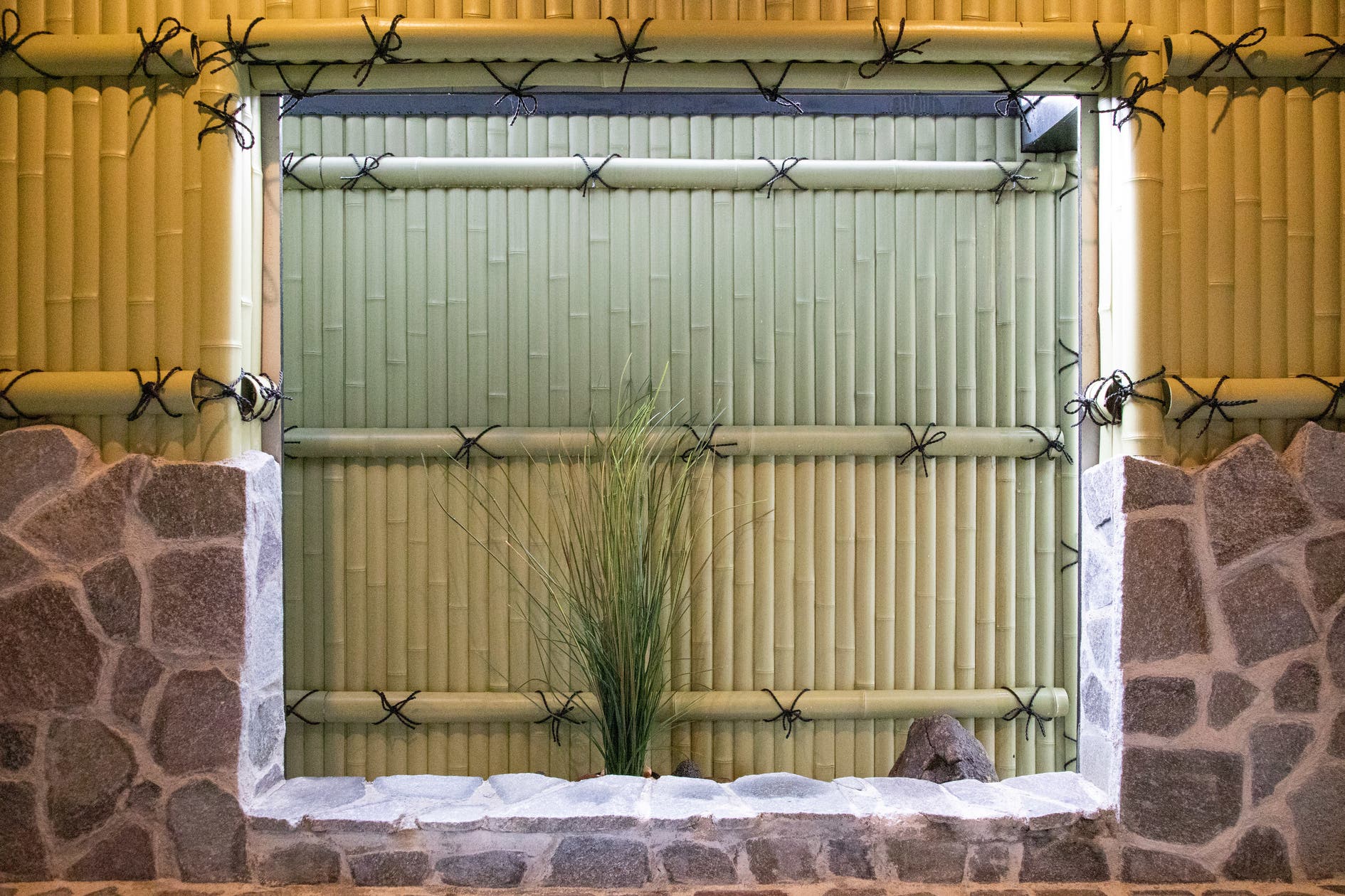 Asian Room＆テントとBBQができるお庭・P無料・看板犬バニラ・ミルクのお出迎え💛の写真10