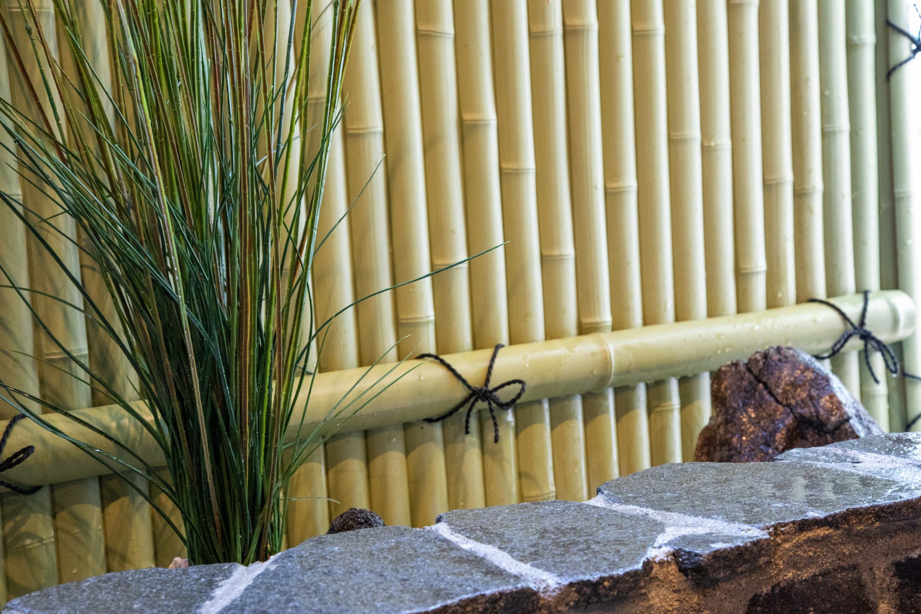 1日1組限定！テント＆BBQができるお庭★100坪の土地に建つ輸入ハウス丸々１棟貸し・P無料・看板犬バニラのお出迎え💛の写真30