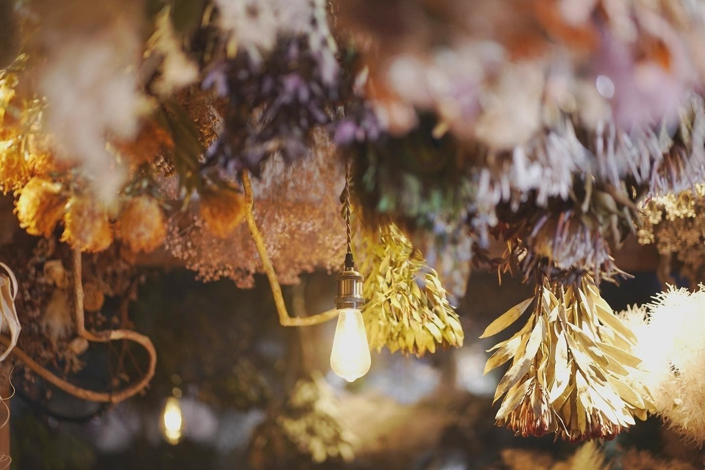 ペット撮影ＯＫ！ドライフラワーで装飾された異空間で撮影しませんか？の写真20