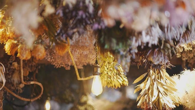 ペット撮影OK!ドライフラワーで装飾された異空間で撮影しませんか?の写真20