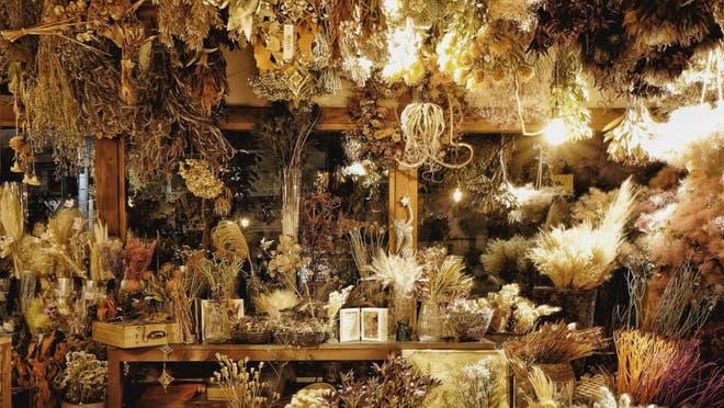 ペット撮影OK!ドライフラワーで装飾された異空間で撮影しませんか?の写真21