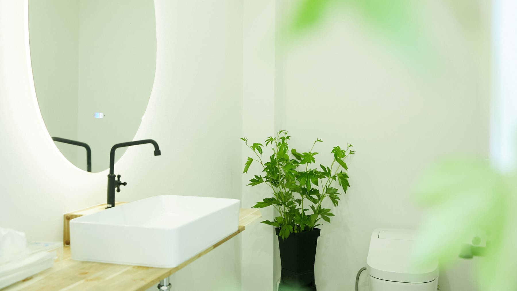 TAO STUDIO 撮影スタジオ、白堀、R壁、ハウススタジオ、写真、動画、収録、配信、北欧イメージの写真17