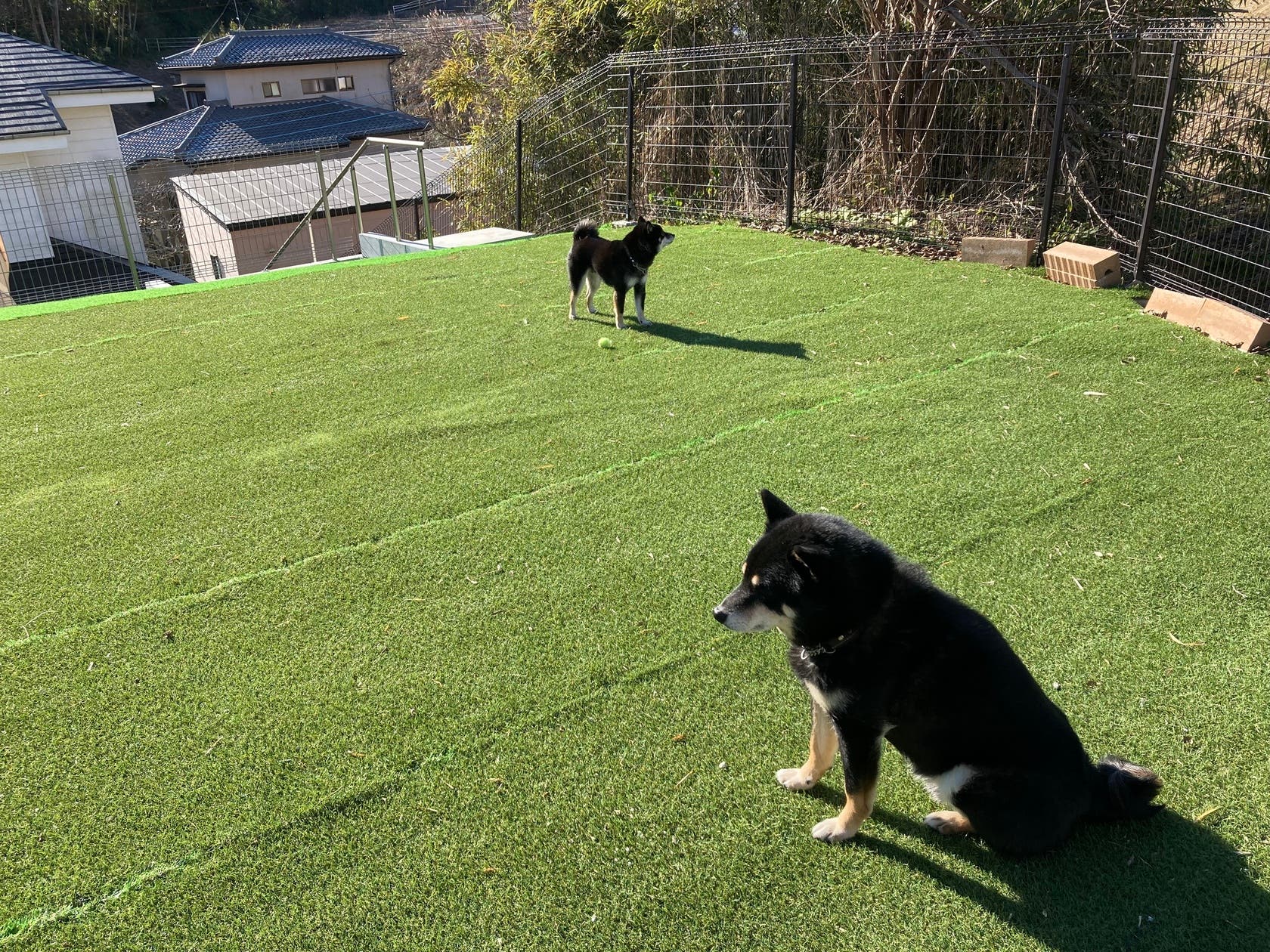 ドッグラン付きレンタルスペース（キッチン付）の写真14