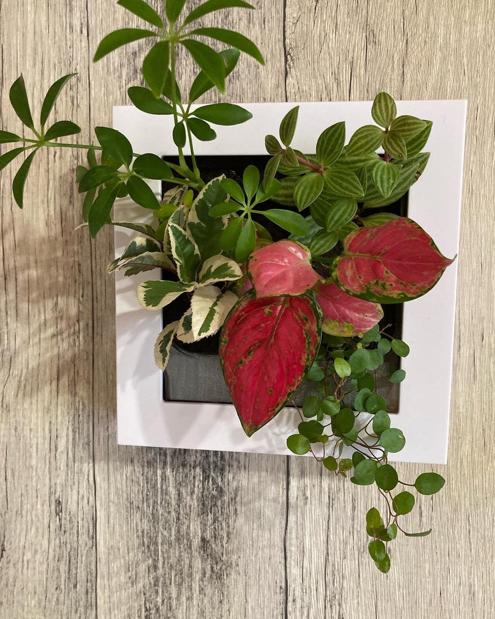 ドッグラン付きレンタルスペース（キッチン付）の写真10