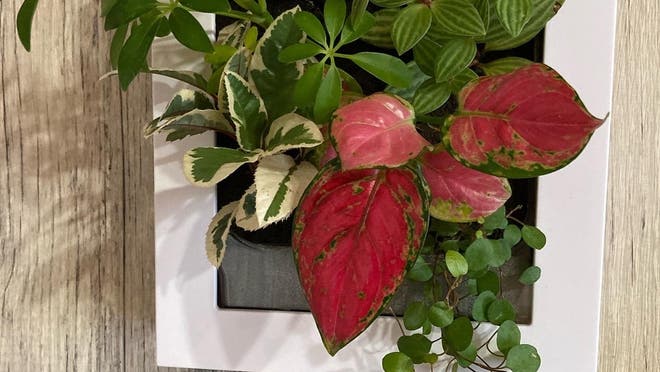 ドッグラン付きレンタルスペース(キッチン付)の写真10