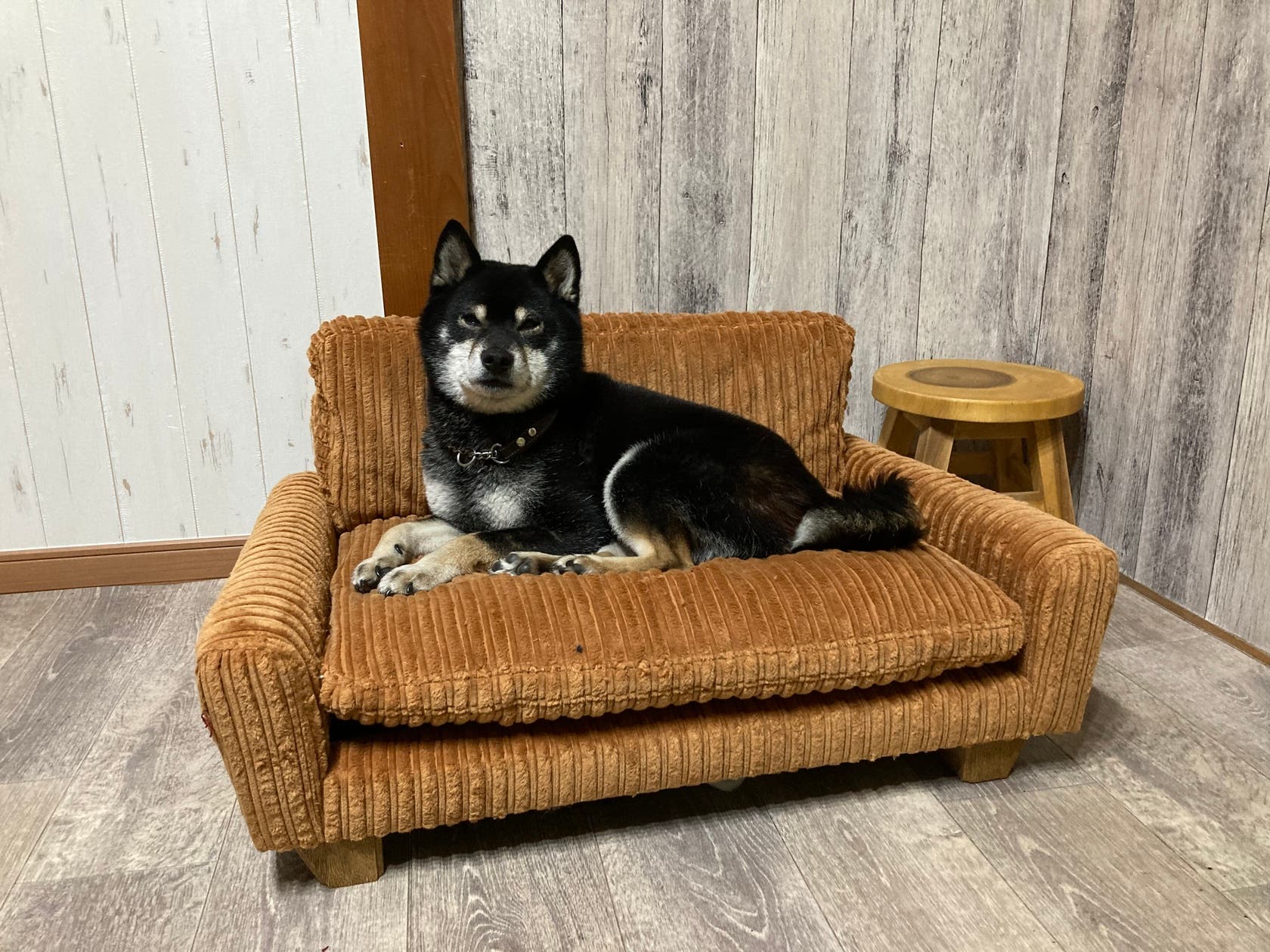 ドッグラン付きレンタルスペース（キッチン付）の写真9