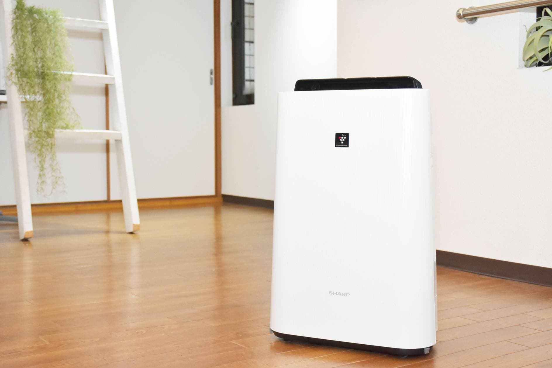 鹿児島・天文館で最上階の好立地。パーティー、会議、ワークショップなど様々なシーンでご利用いただけます。の写真13