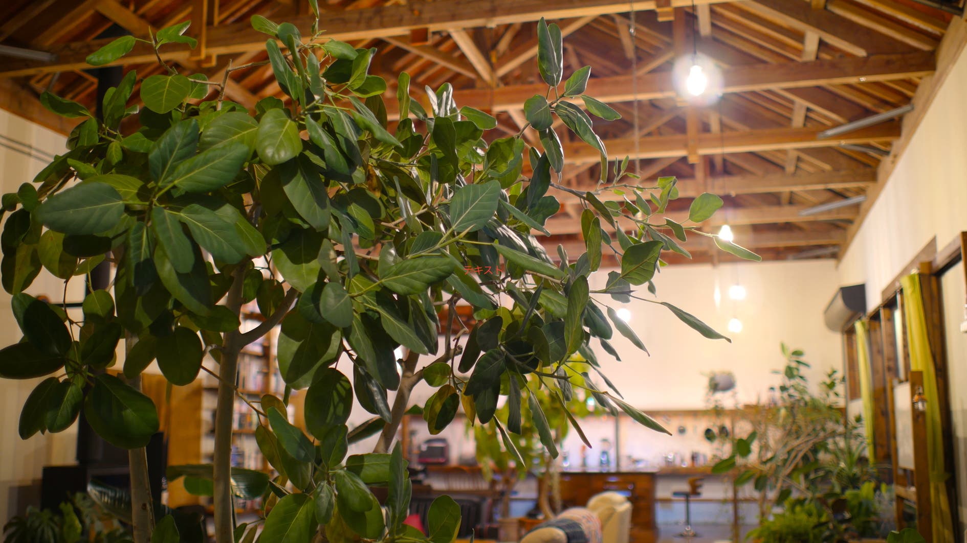 【東京都心から車で1時間半 /海まで30分 /茨城県行方市の１棟貸し多目的スペース】　の写真13