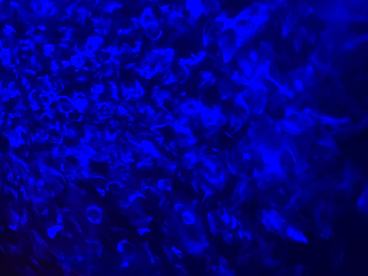 天井プロジェクターライトの画像1